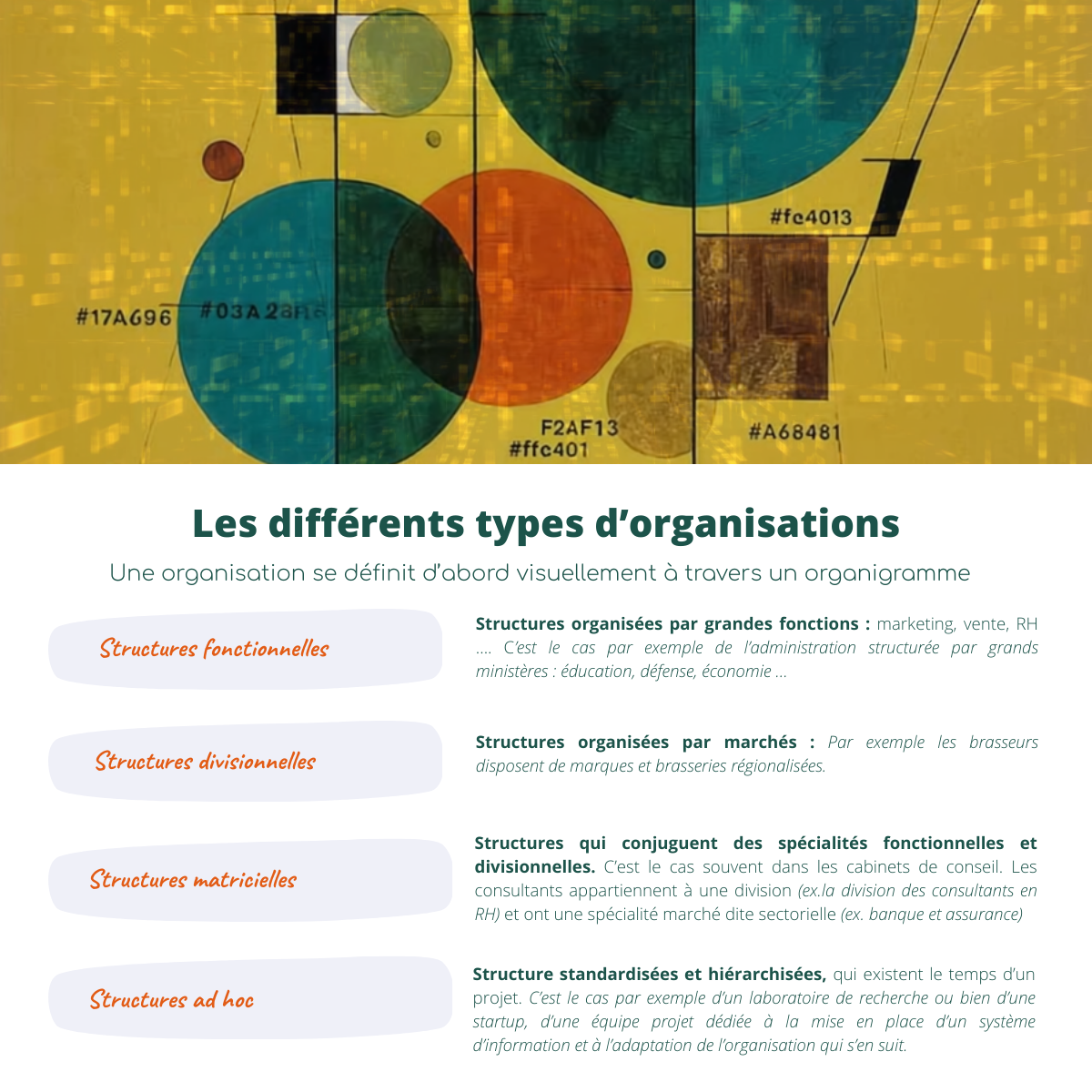 Quels sont les différents types d'organisation